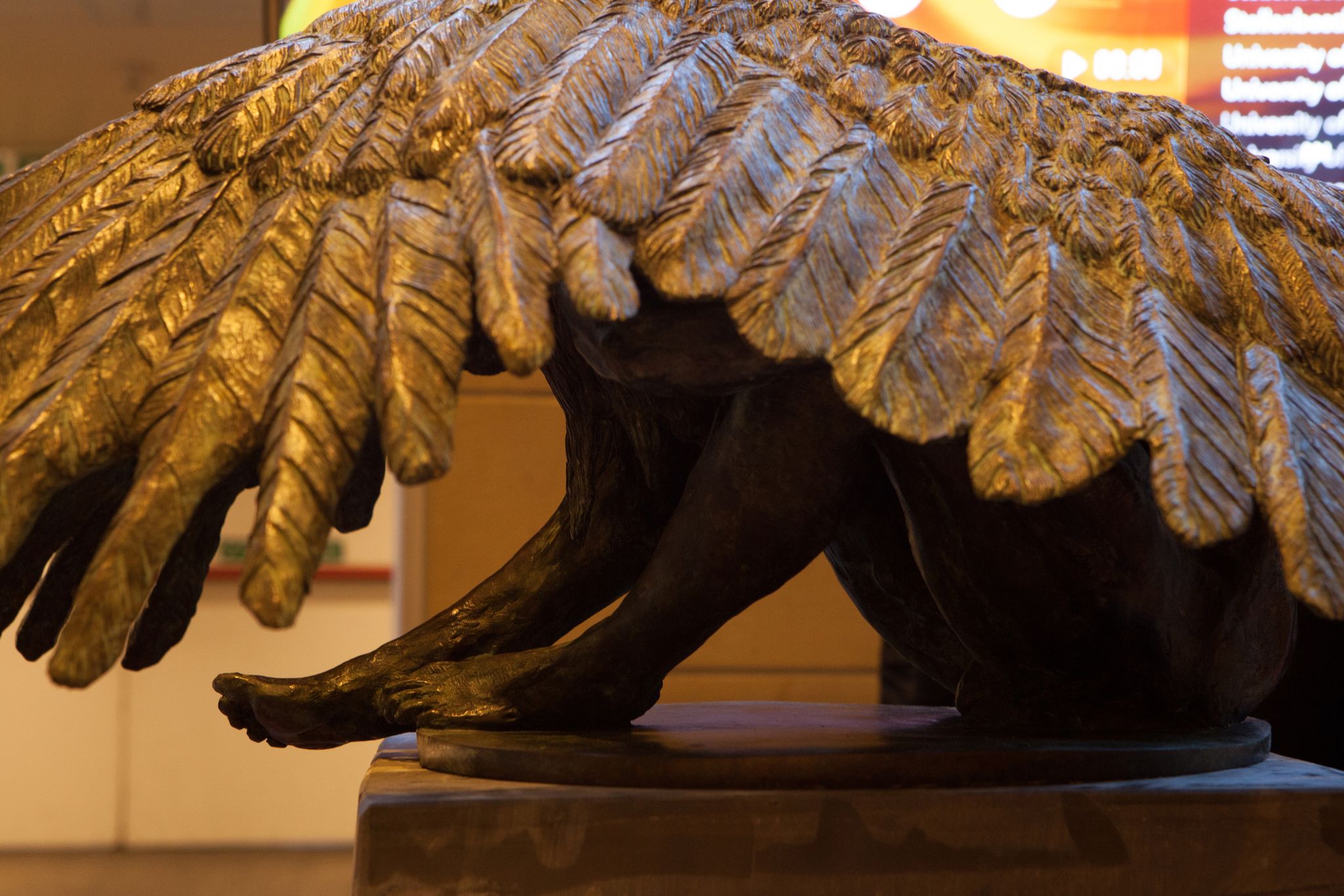 Angels – Johan Steyn Art